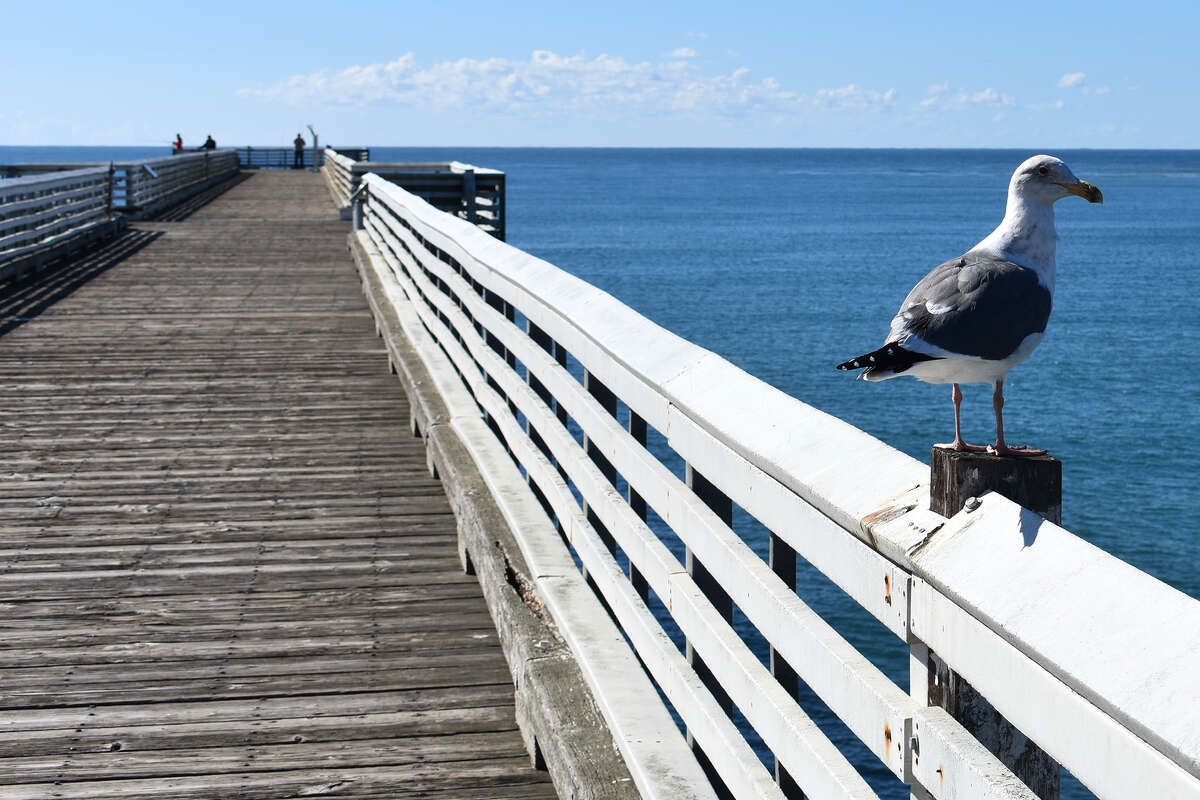 With Hearst Castle’s long closure, the Central Coast town of San Simeon ...