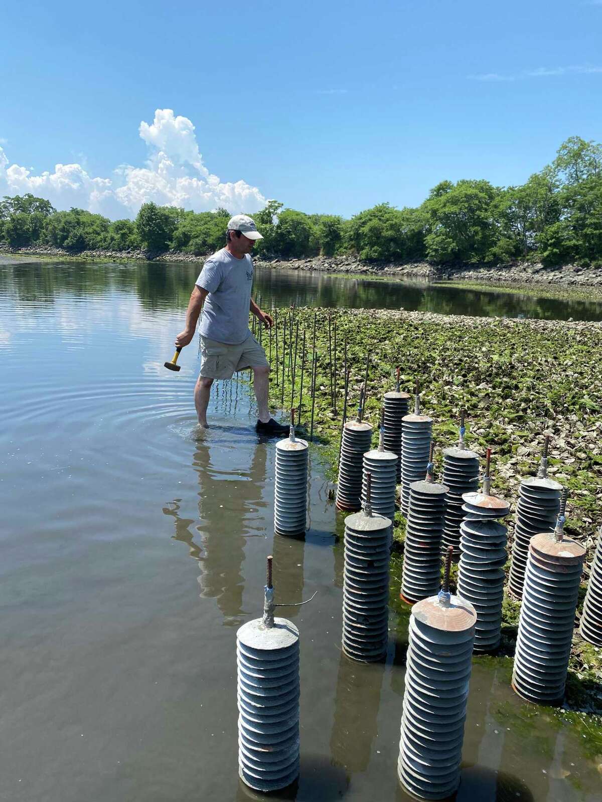 Fairfield looks to expand oyster recycling program at local restaurants