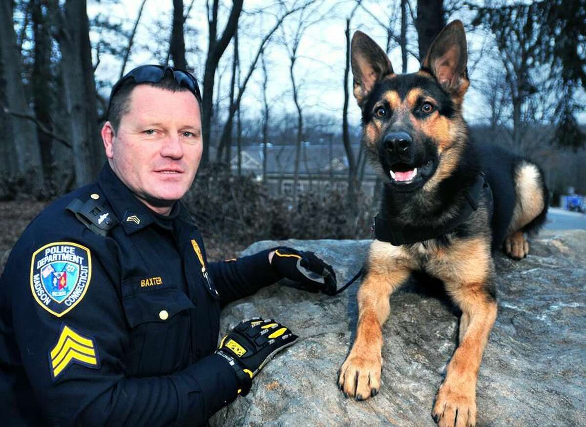 German Shepherd Police Dog Videos