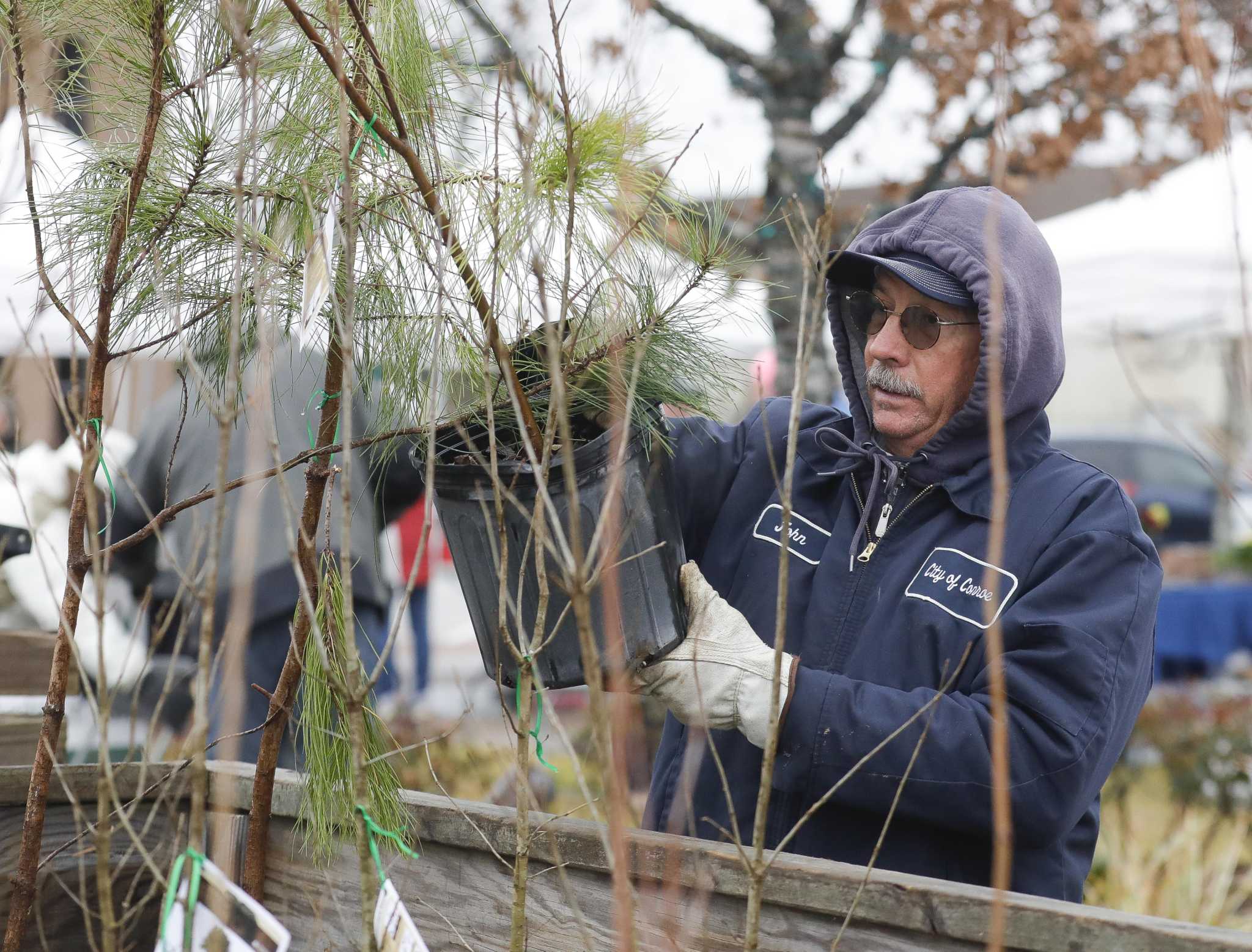 Woodlands offering free seedlings at Rob Fleming Park Arbor Day event