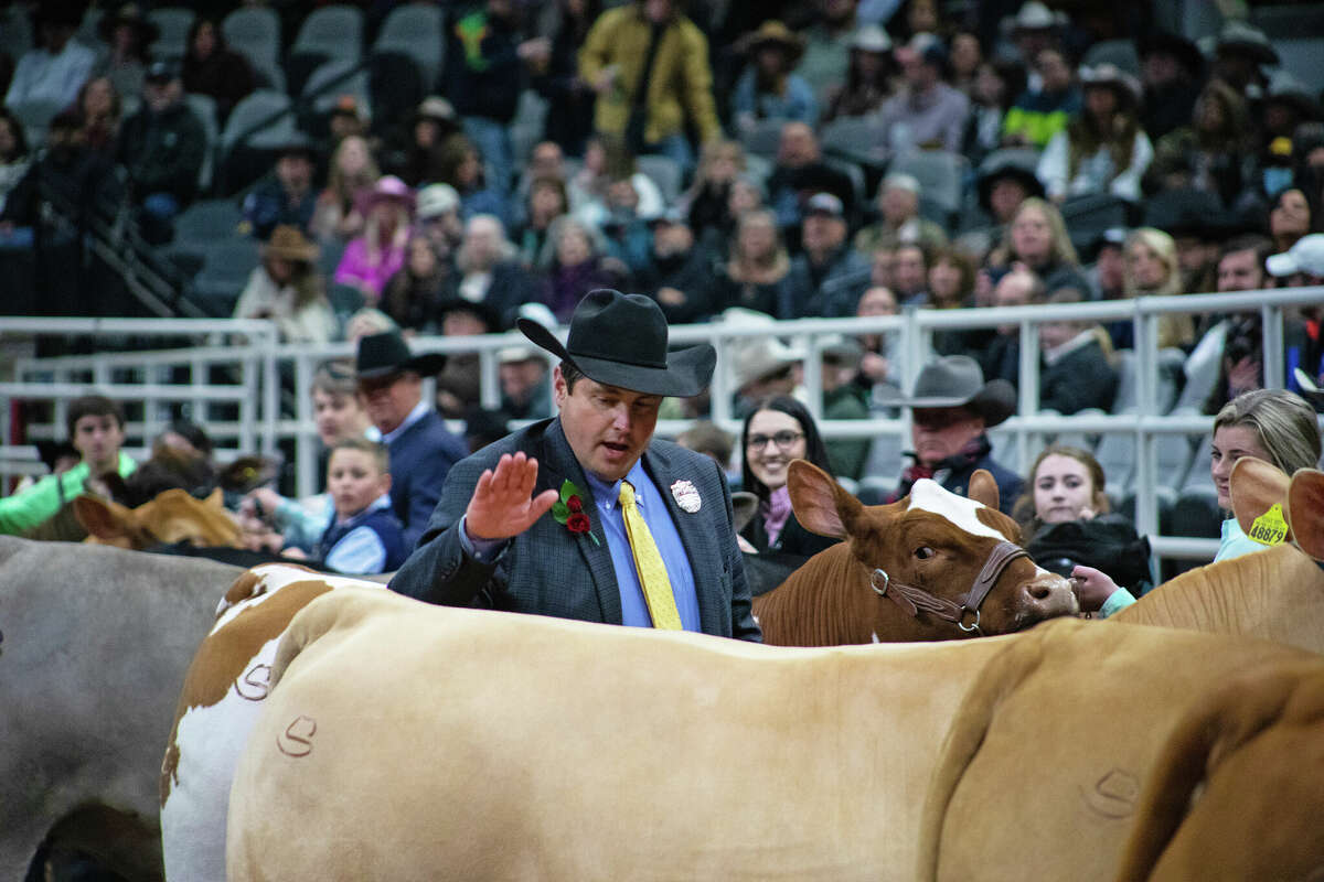 Champions named as San Antonio Stock Show & Rodeo 2022 wraps up