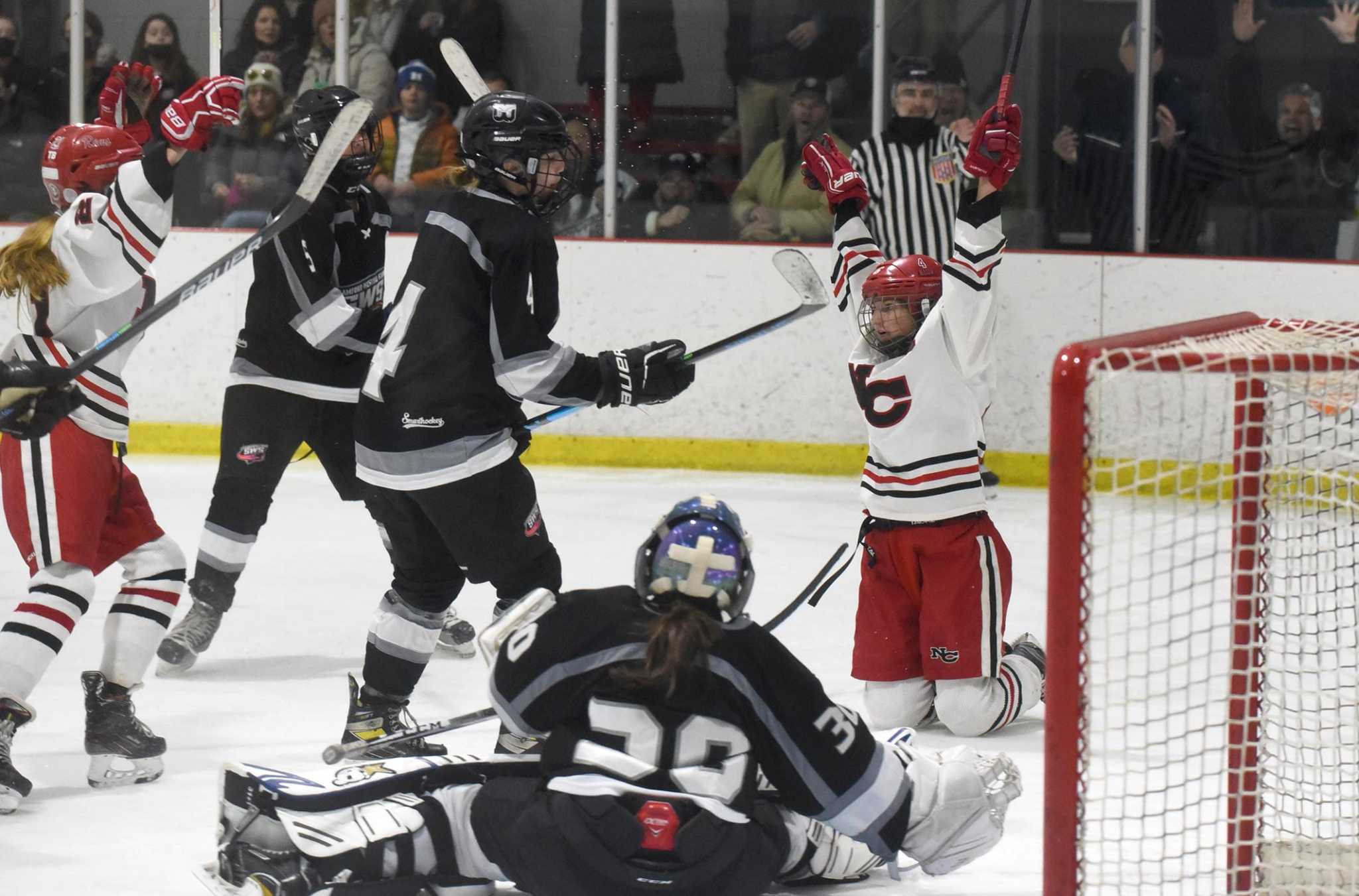 Girls hockey: Top performers from the conference tournaments