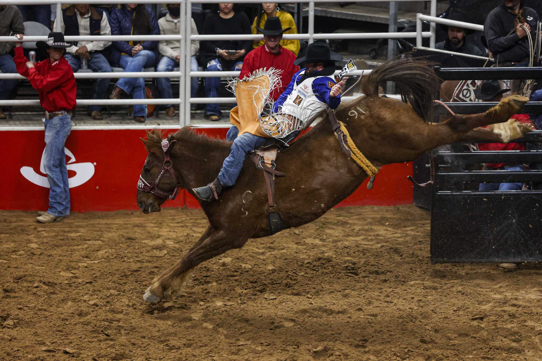 Letters, Feb. 20: Motorized horses for SA rodeo