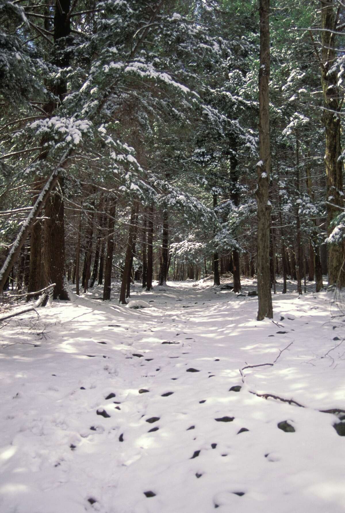 Winter vacation ideas near the Pocono Mountains