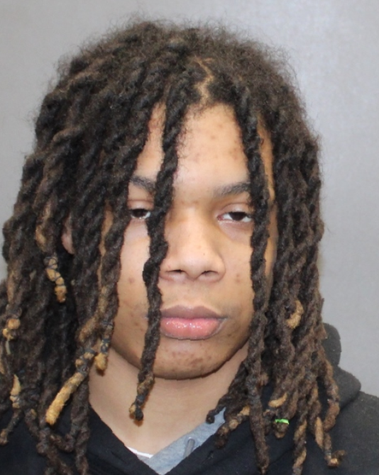 Police: Troy man killed younger brother, 16