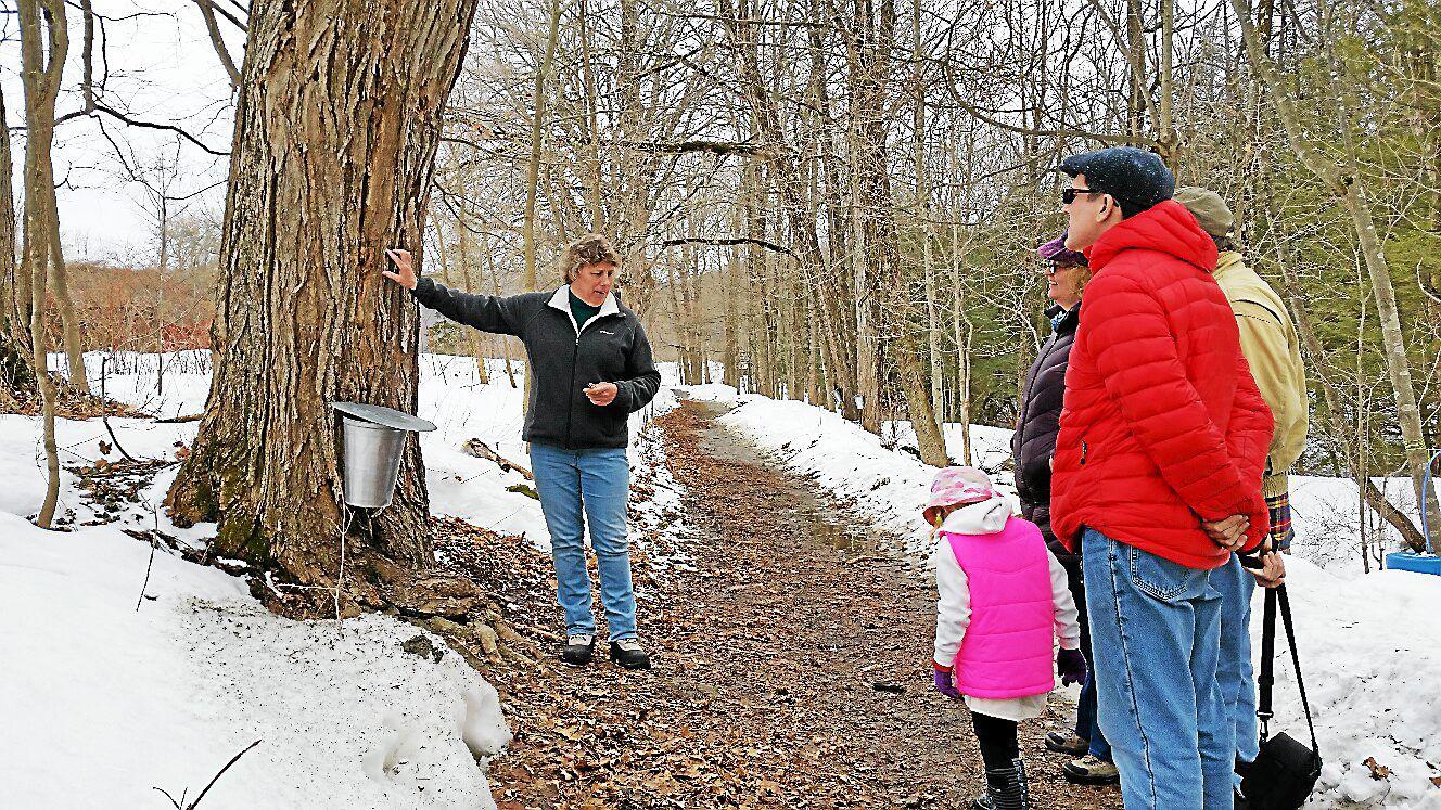 Sharon Audubon reschedules annual MapleFest for March 26