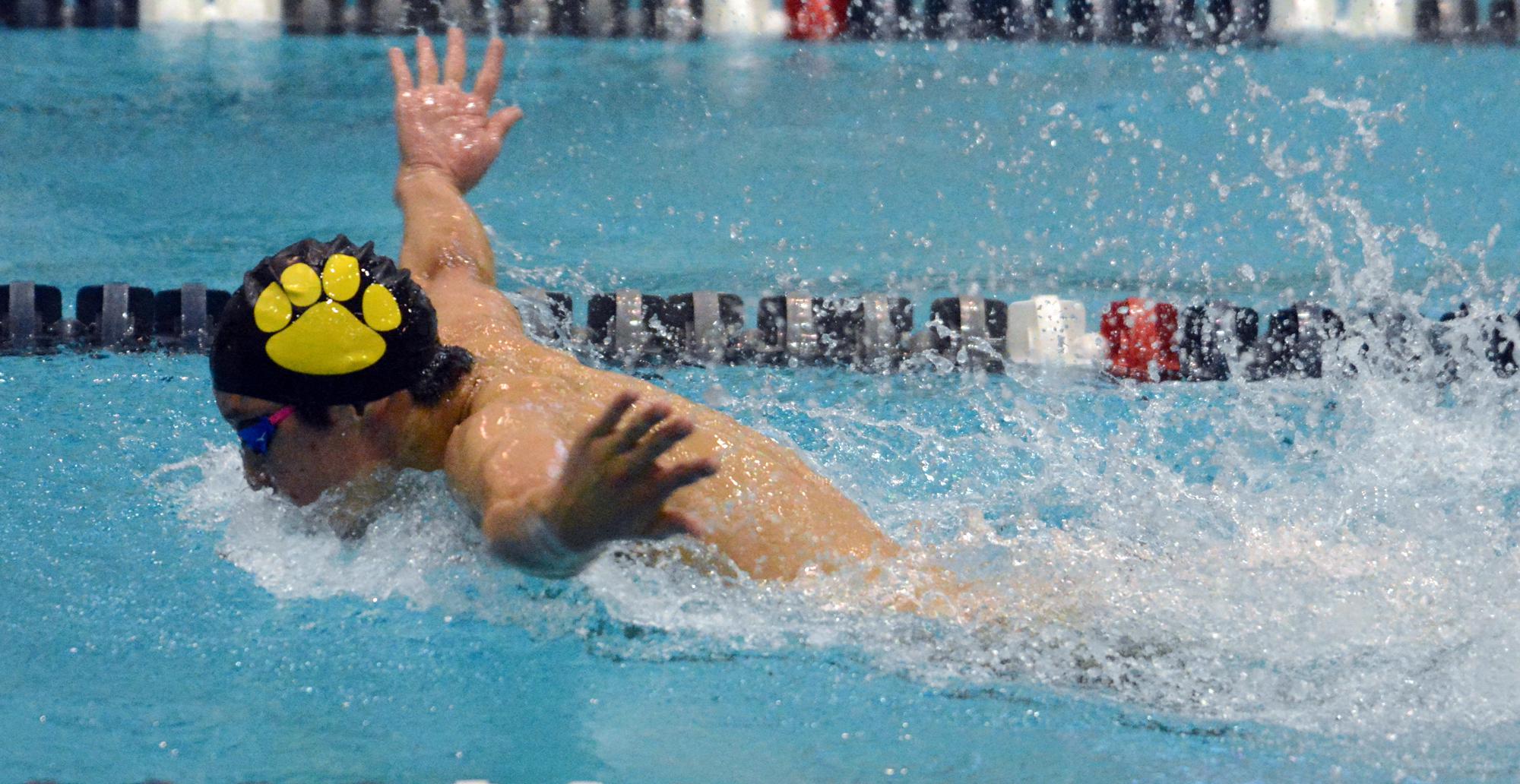 Daniel Hand swimmer Elliot Lee owns six of eight school records.
