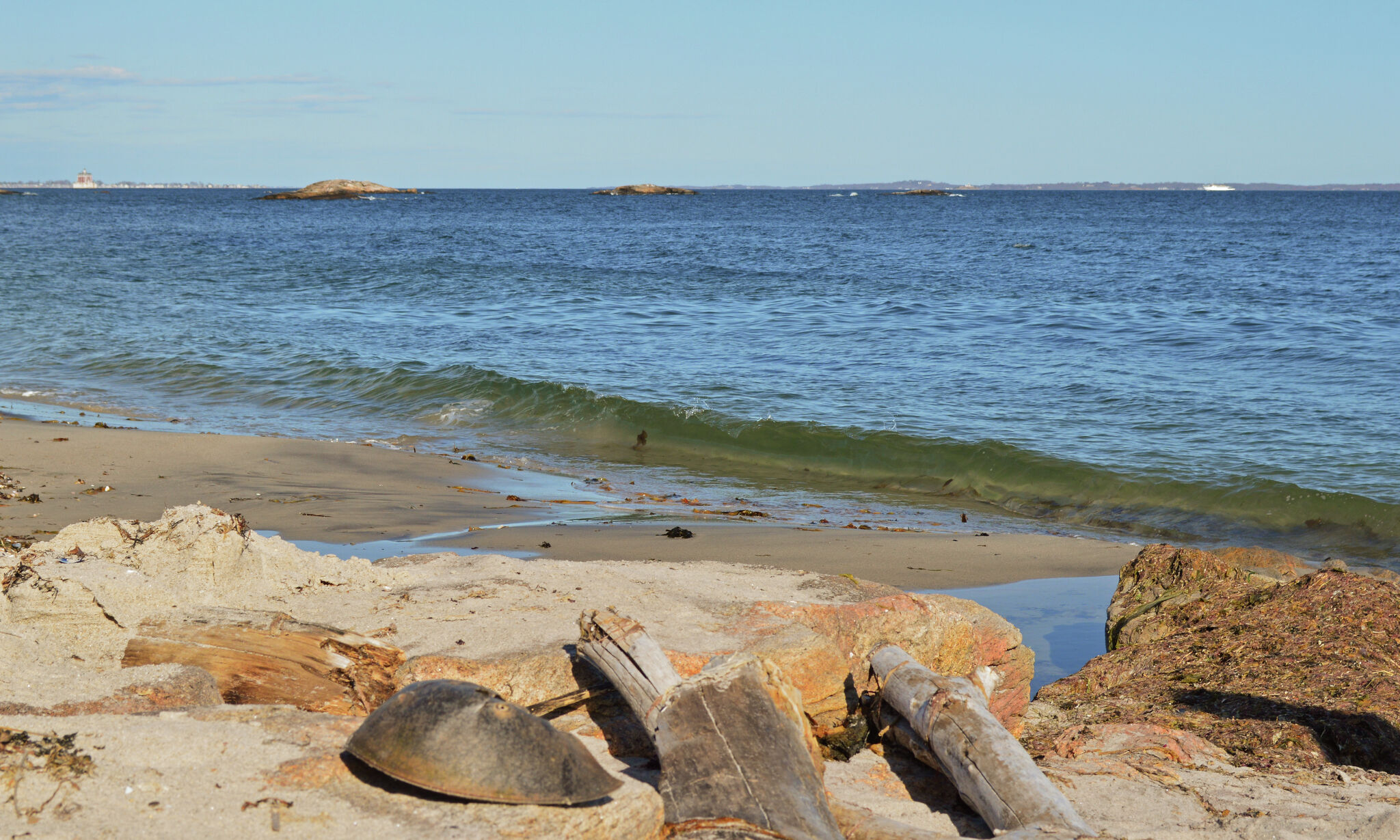 Connecticut beach report cards: See the grades for your favorite spots