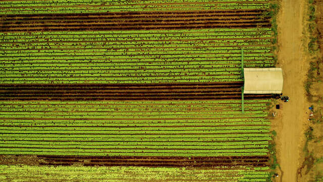 Farmland values jump by 22%