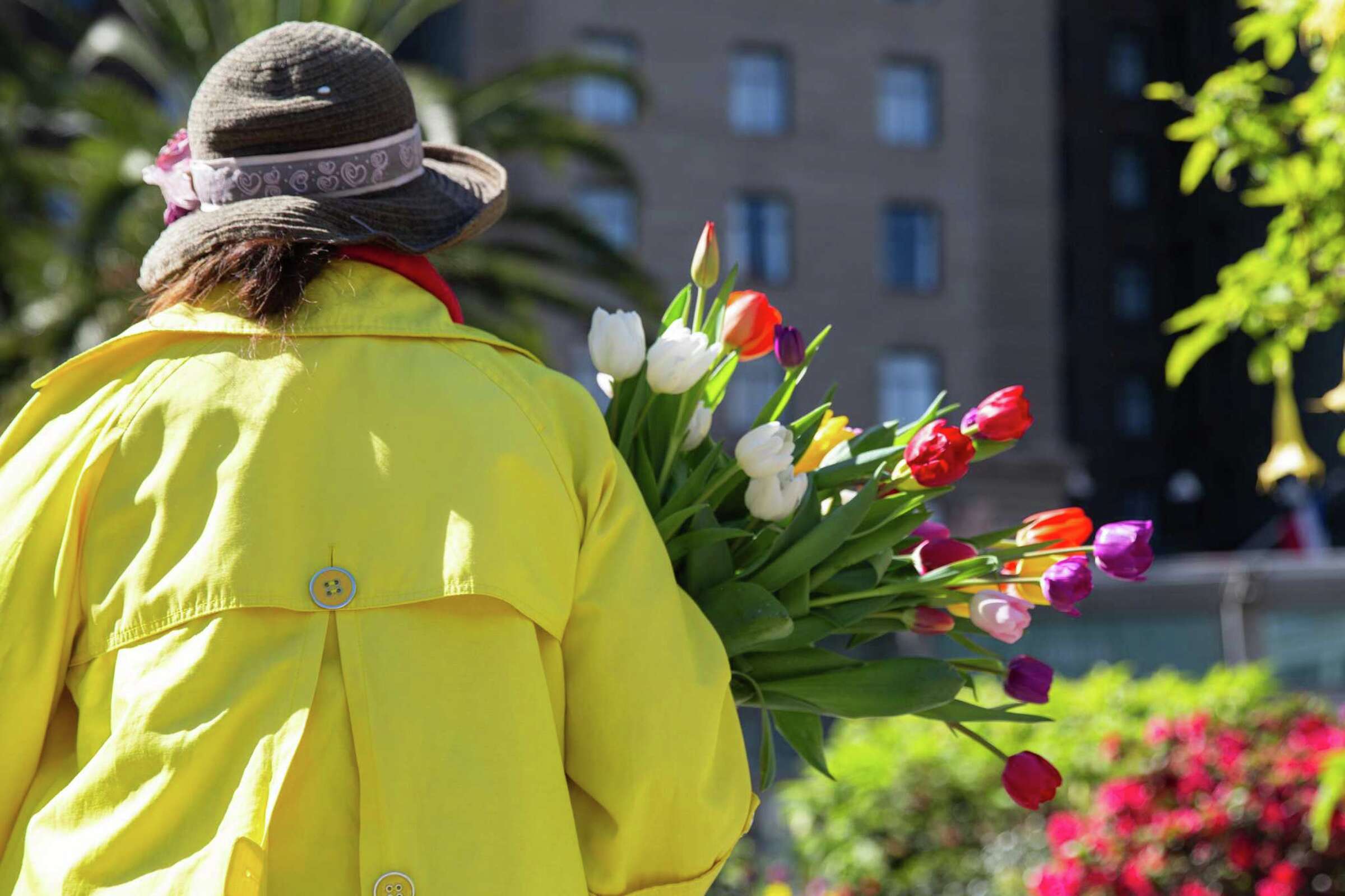 Free tulips draw thousands to S.F.’s Union Square