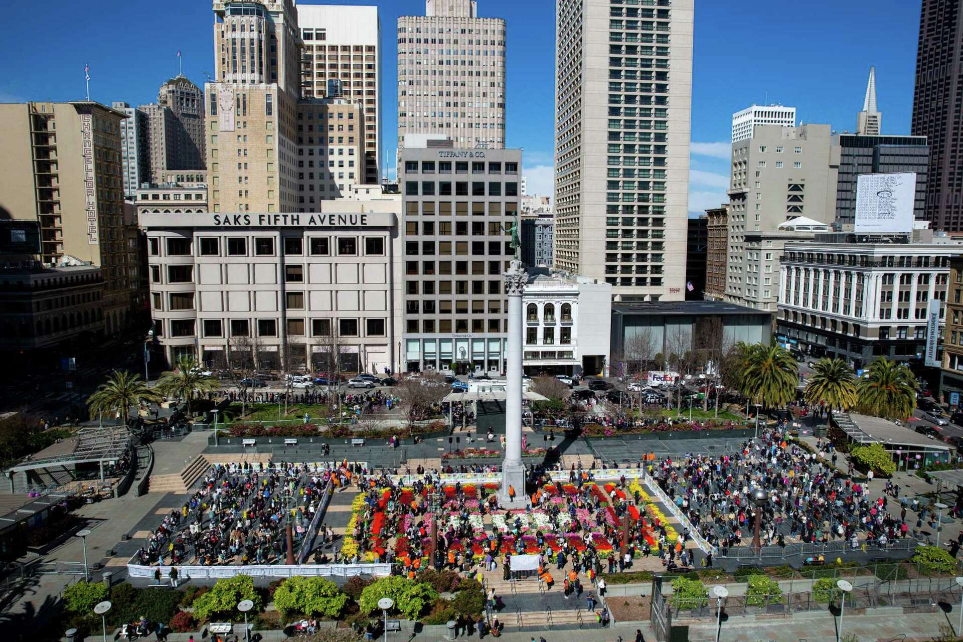 Free tulips draw thousands to S.F.’s Union Square