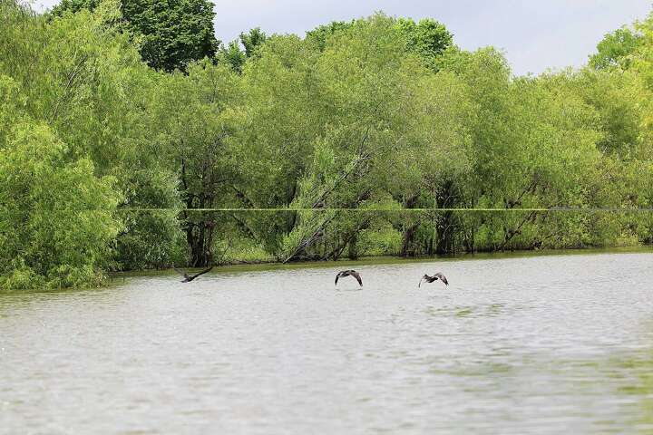 Spring break from Houston on one tank of gas: Our favorite spots within ...