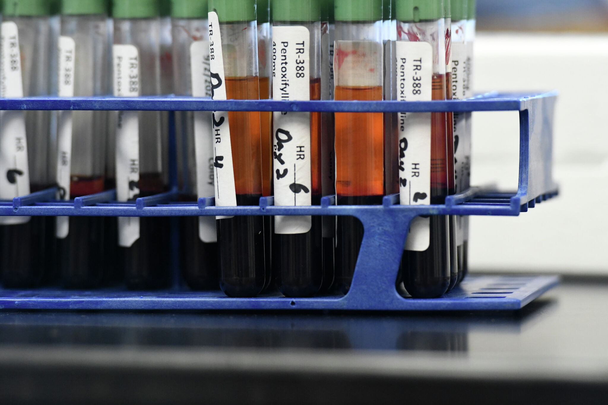 New York issues fewer horse racing drug violations than other states