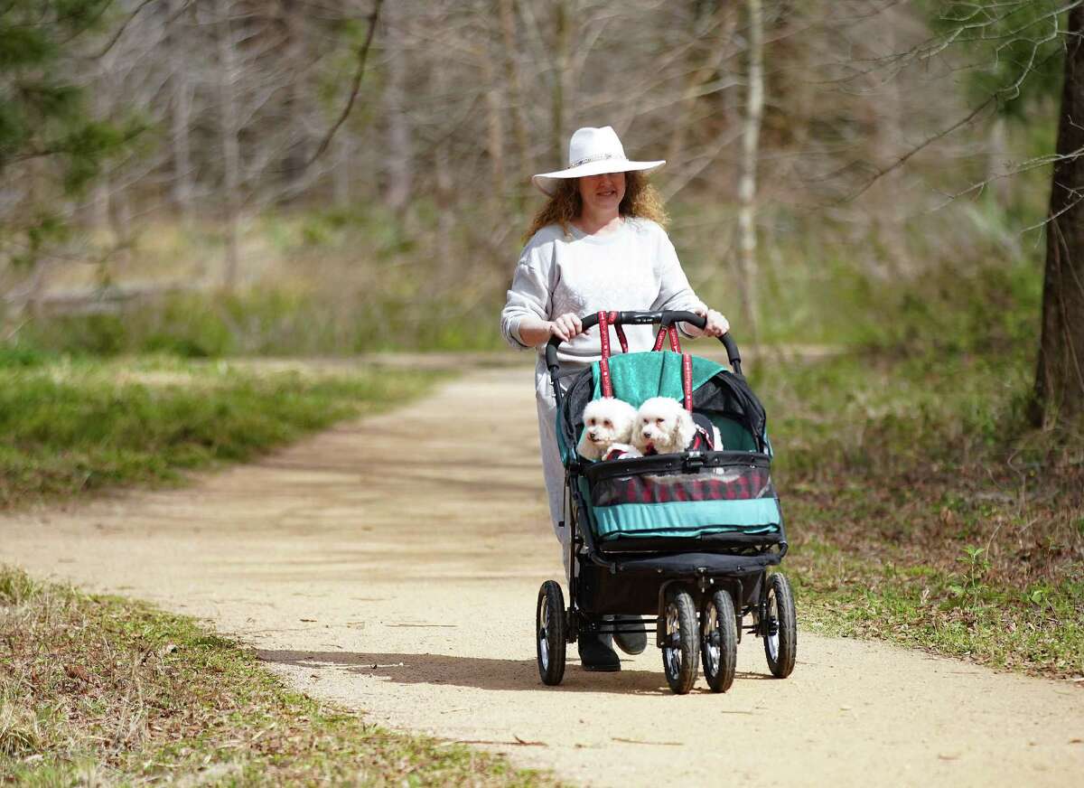 After the arboretum completes its master plan, dogs and their people ...