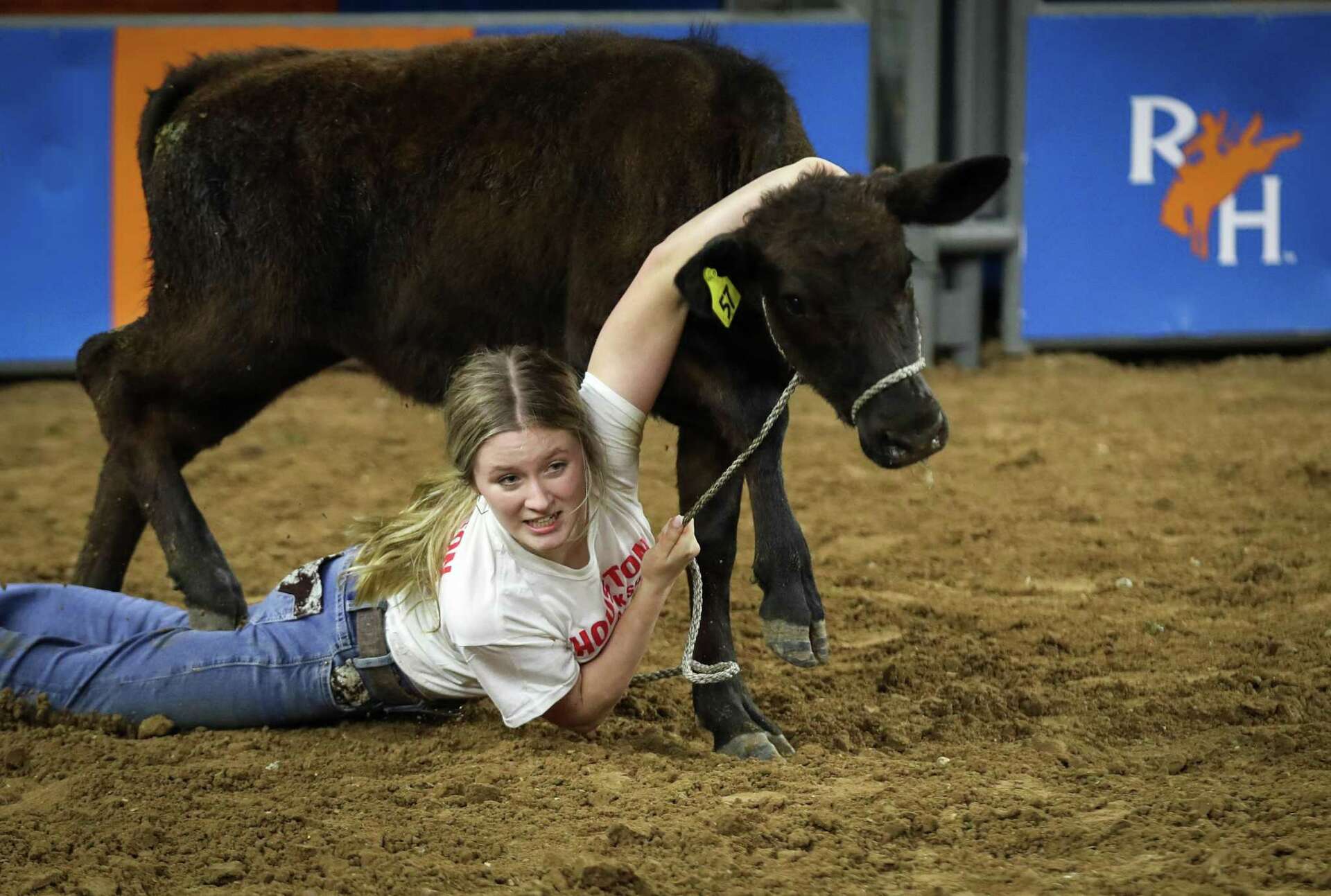 2024 Houston Rodeo: What to know about the calf scramble program