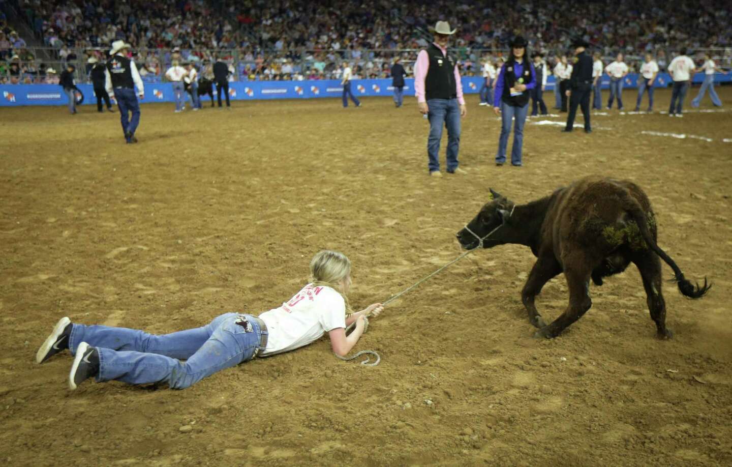 What is the calf scramble at the Houston Rodeo?