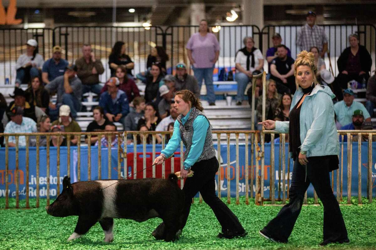These Texas kids get seconds to show their pigs at RodeoHouston — then ...