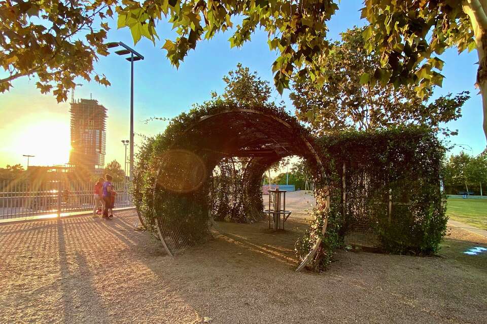 Scenic parks in Houston perfect for picnics and relaxing