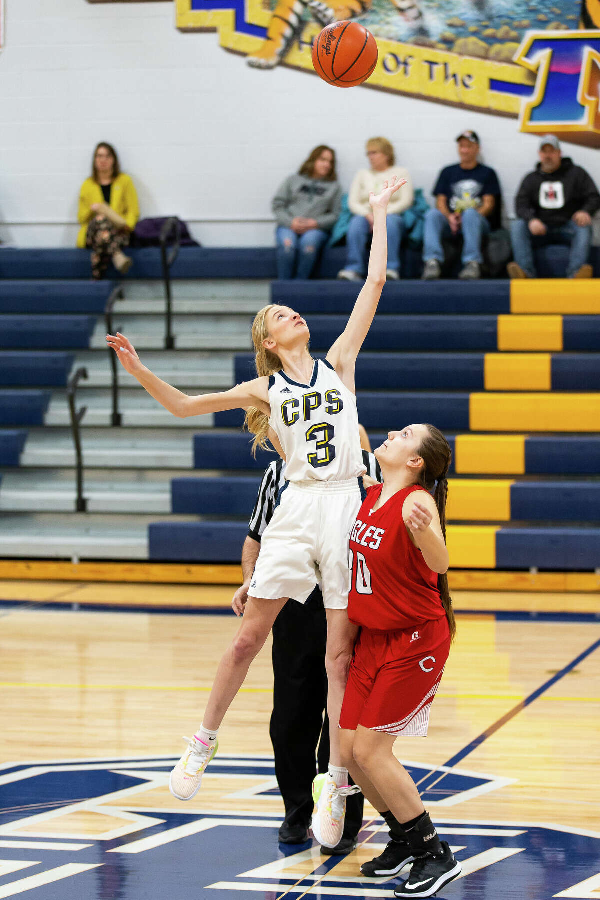 North Central Thumb League releases All-NCTL girls hoop teams