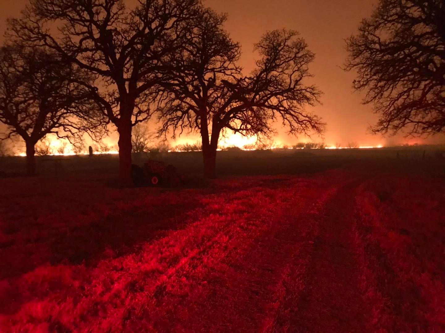 Photos show the Texas wildfires bringing smoky skies to Houston