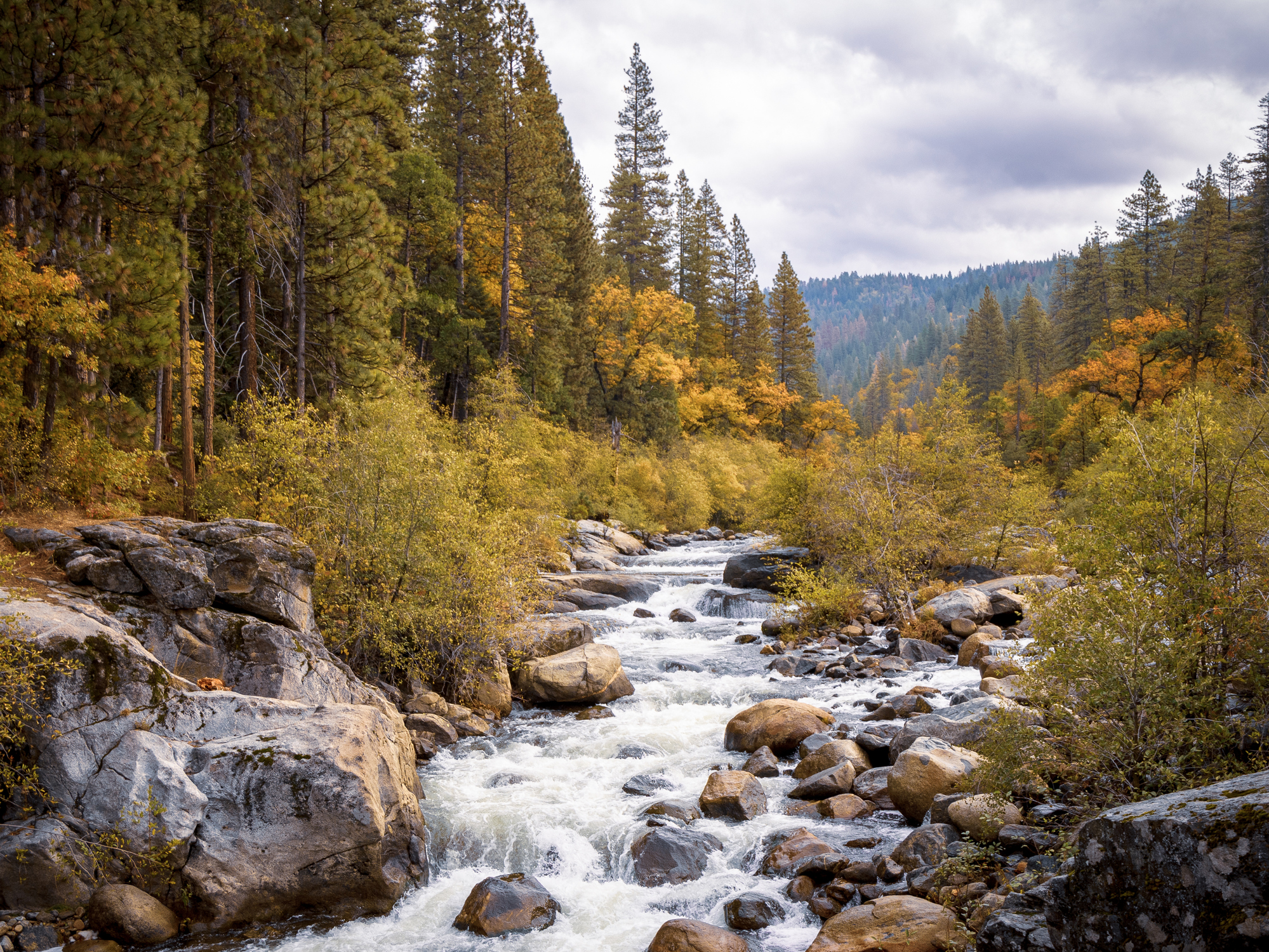 Berkeley Tuolumne Camp to reopen on its 100th anniversary