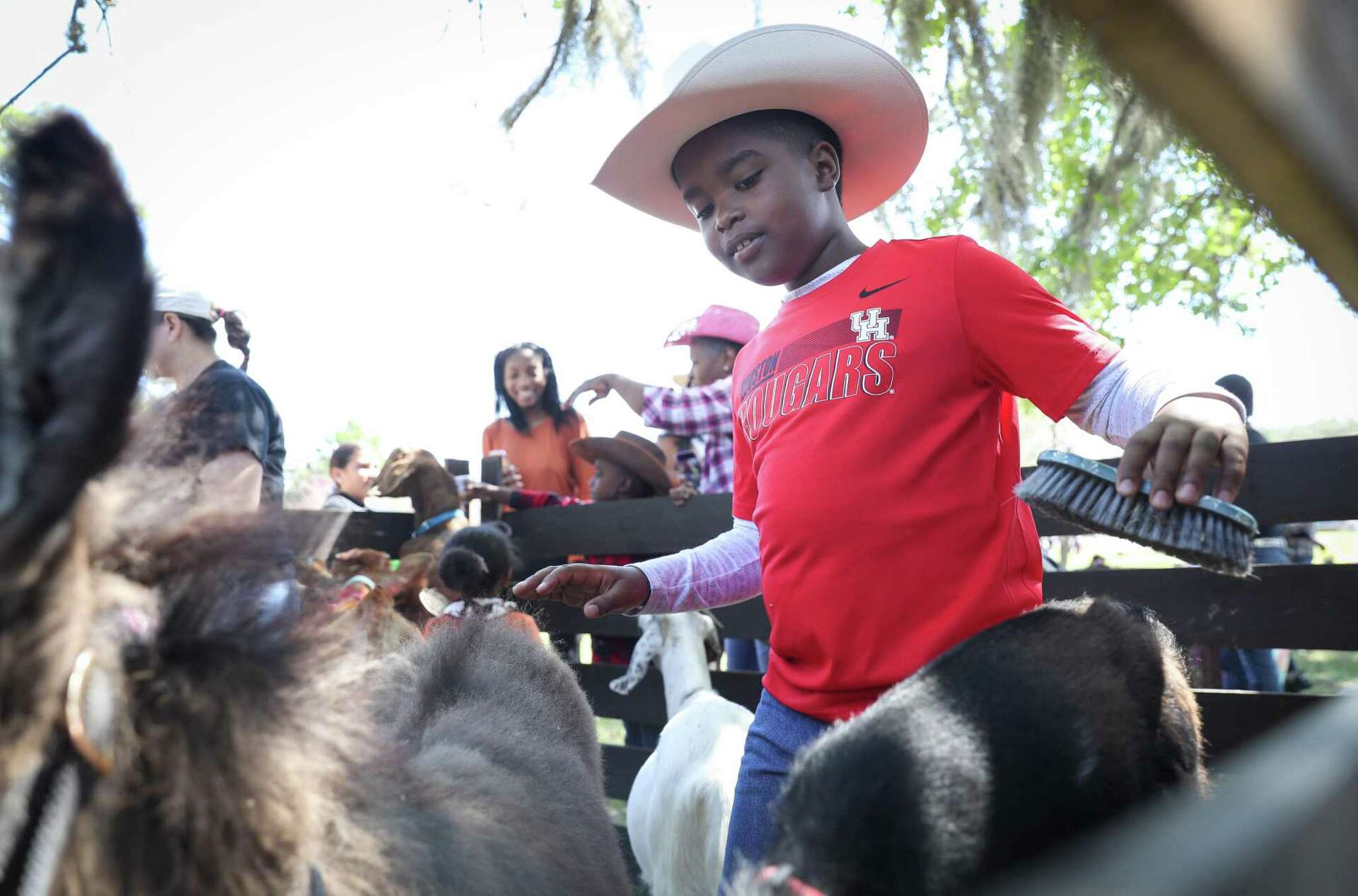 Kids Mini Rodeo brings a petting zoo and horseback riding to Third Ward