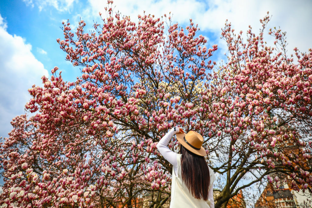 See the Spring weather outlook from the National Weather Service