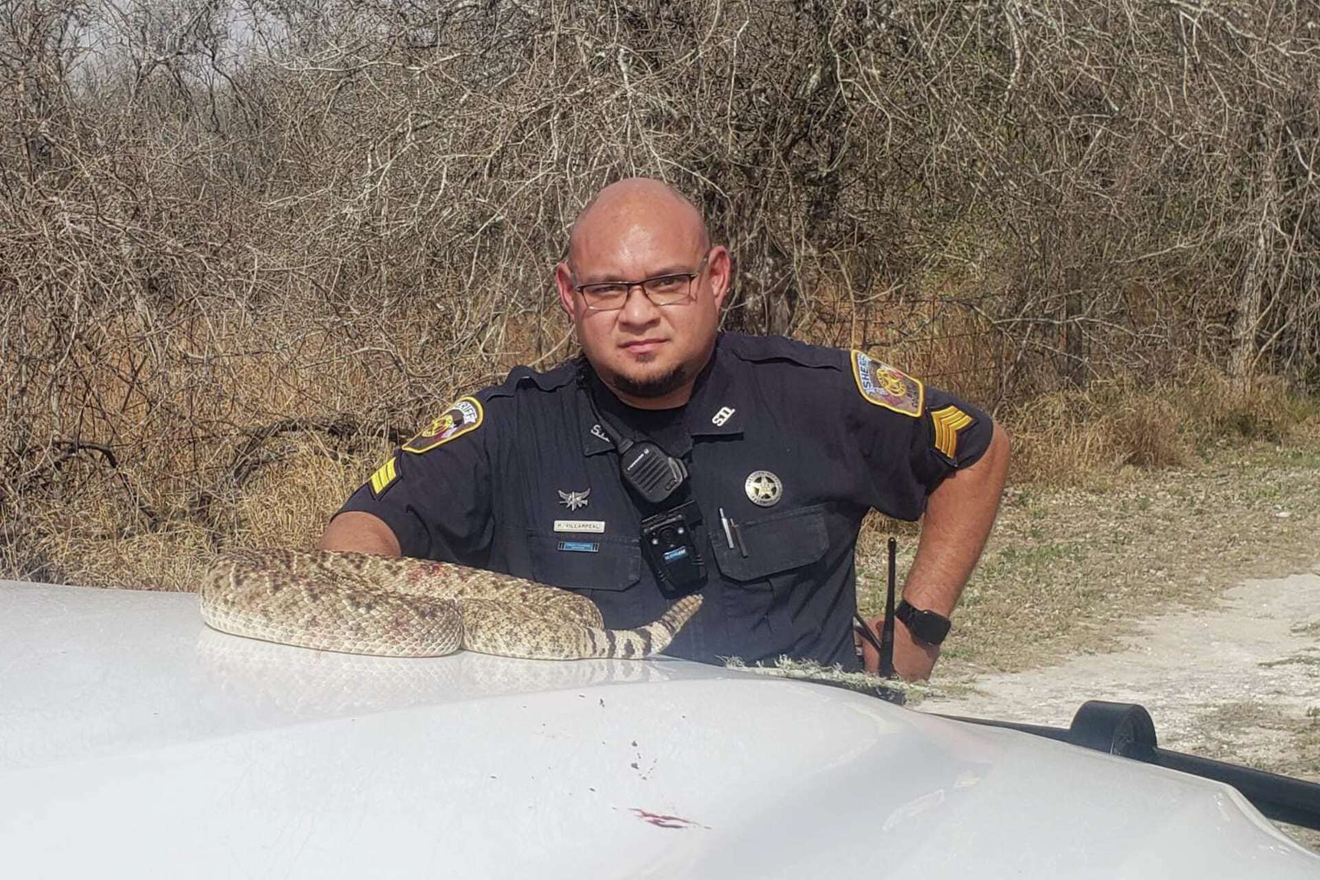 ‘One shot and the snake was down’: Texas sheriff's deputy shoots a ...