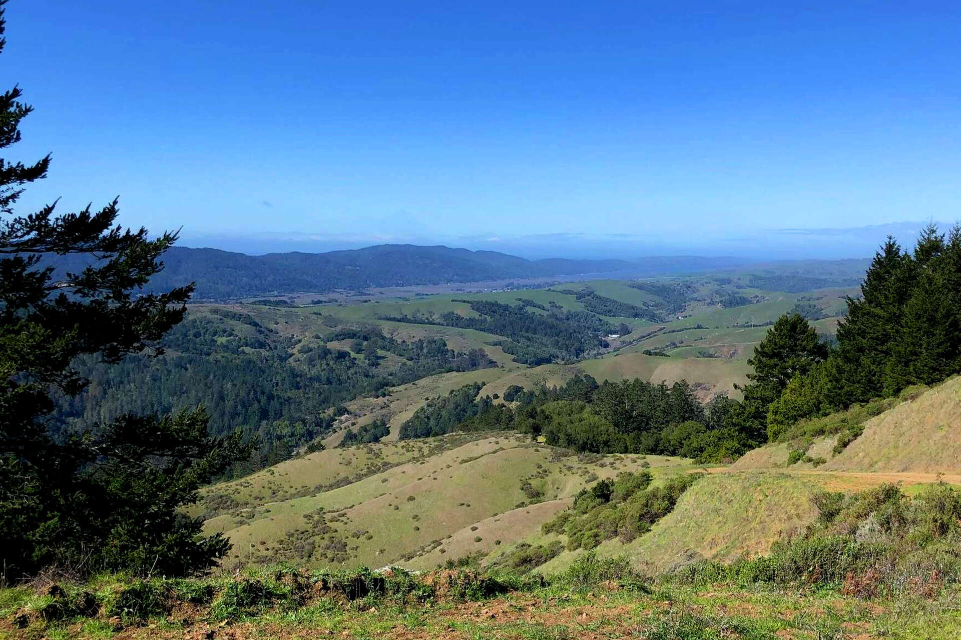 This gorgeous Bay Area hike near Point Reyes just reopened