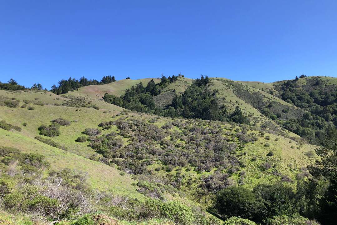 This gorgeous Bay Area hike near Point Reyes just reopened