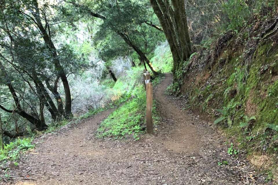 This gorgeous Bay Area hike near Point Reyes just reopened