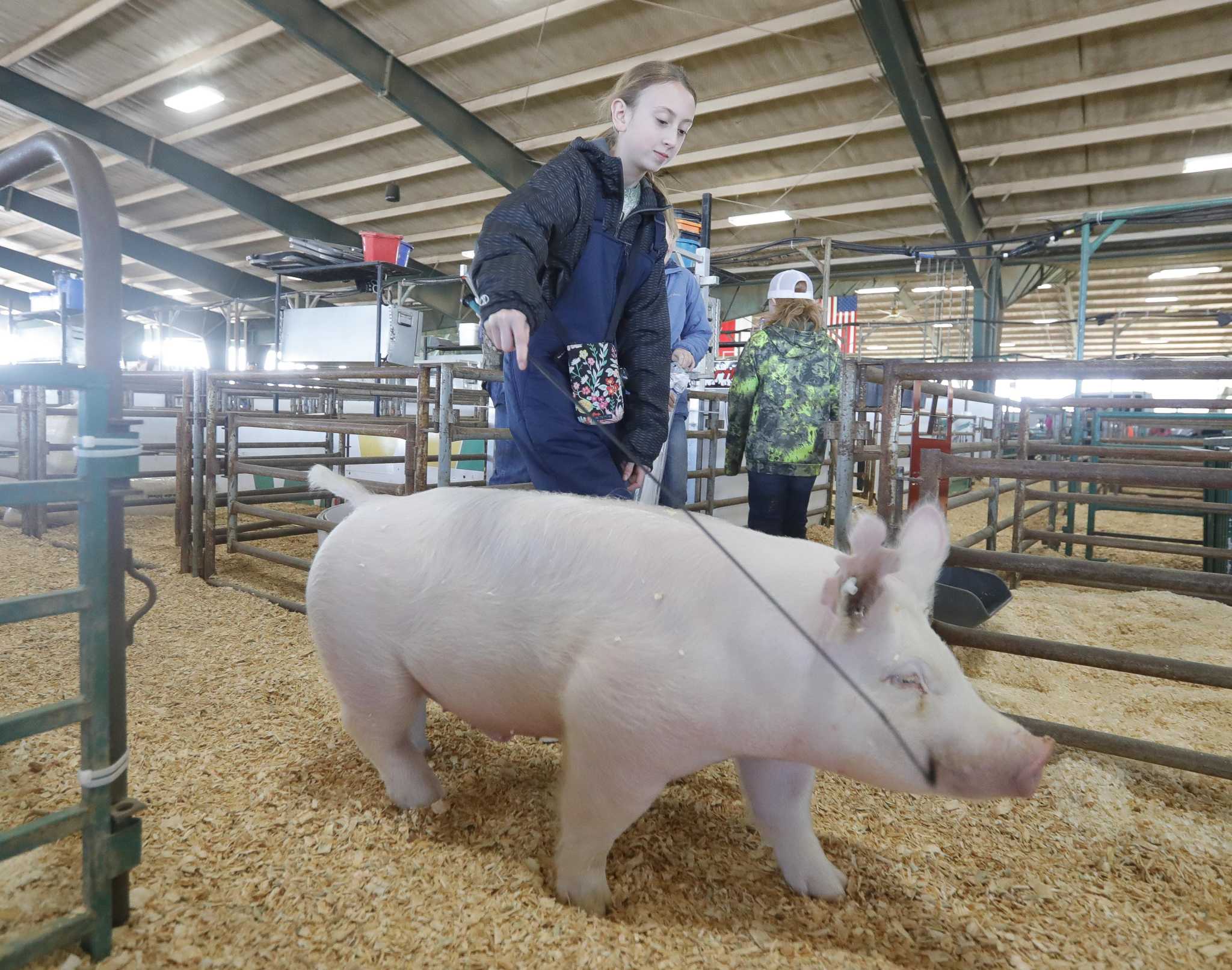Ready for the Montgomery County fair and rodeo in Conroe