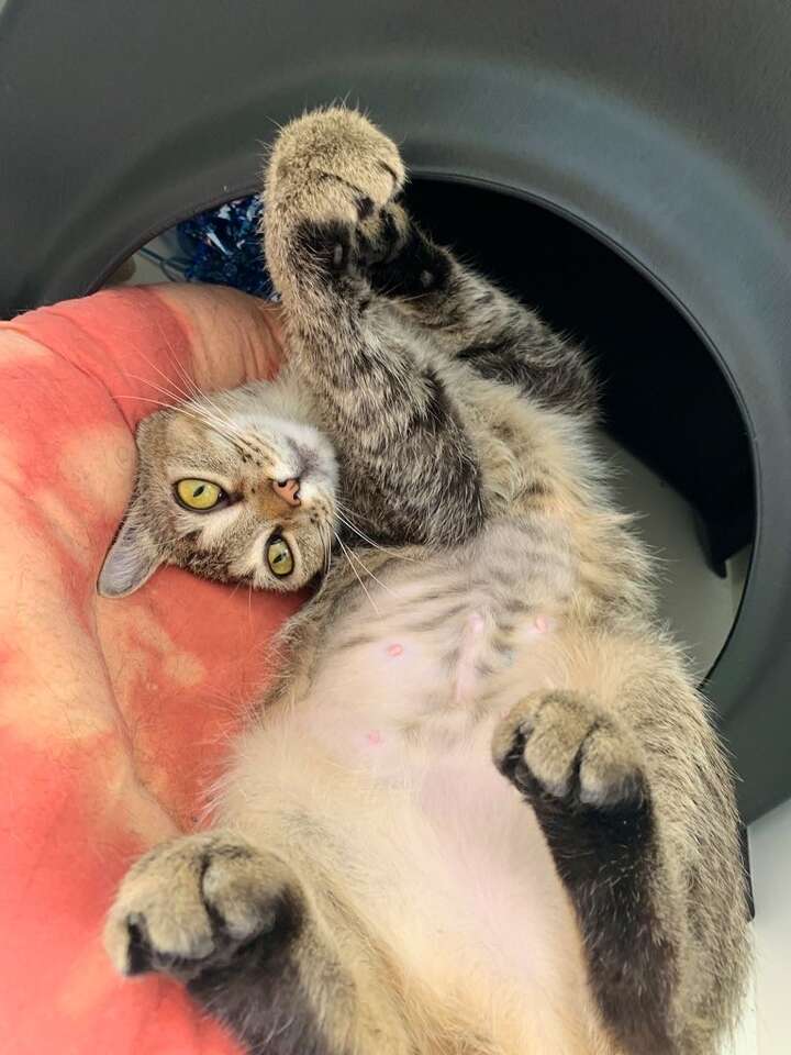 20 things you don't know about me: Rachel Tiede, WNYT anchor