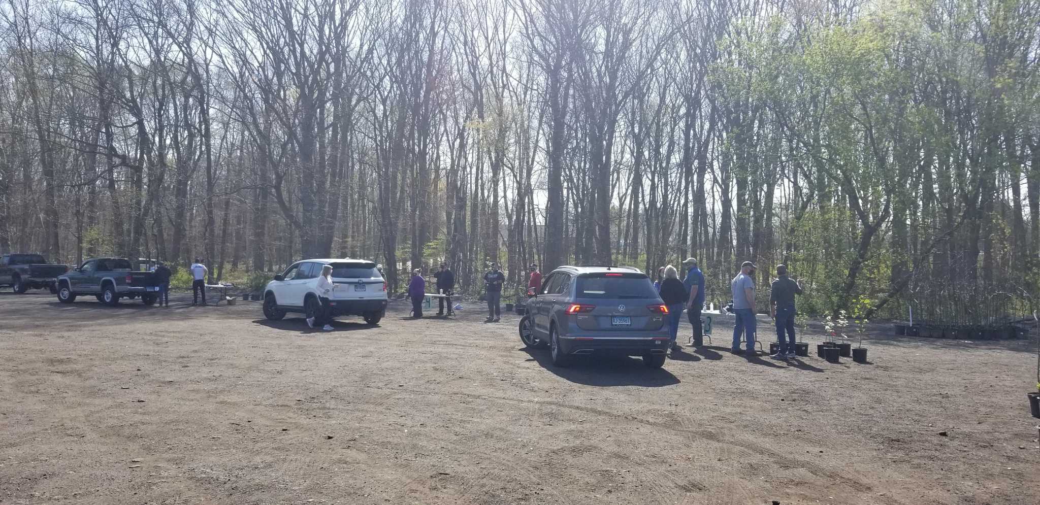 Milford’s second tree giveaway honors Martin Hardiman