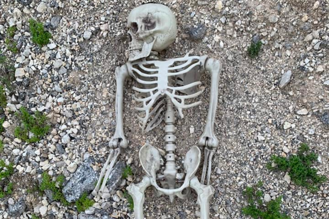 San Antonio-area police department responds to unusual 'skeletal ...