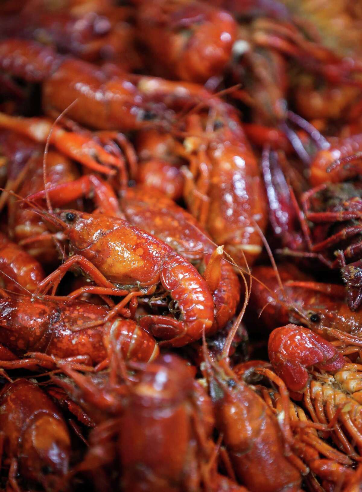 Crawfish season has started in these Houston suburbs. Where to get it