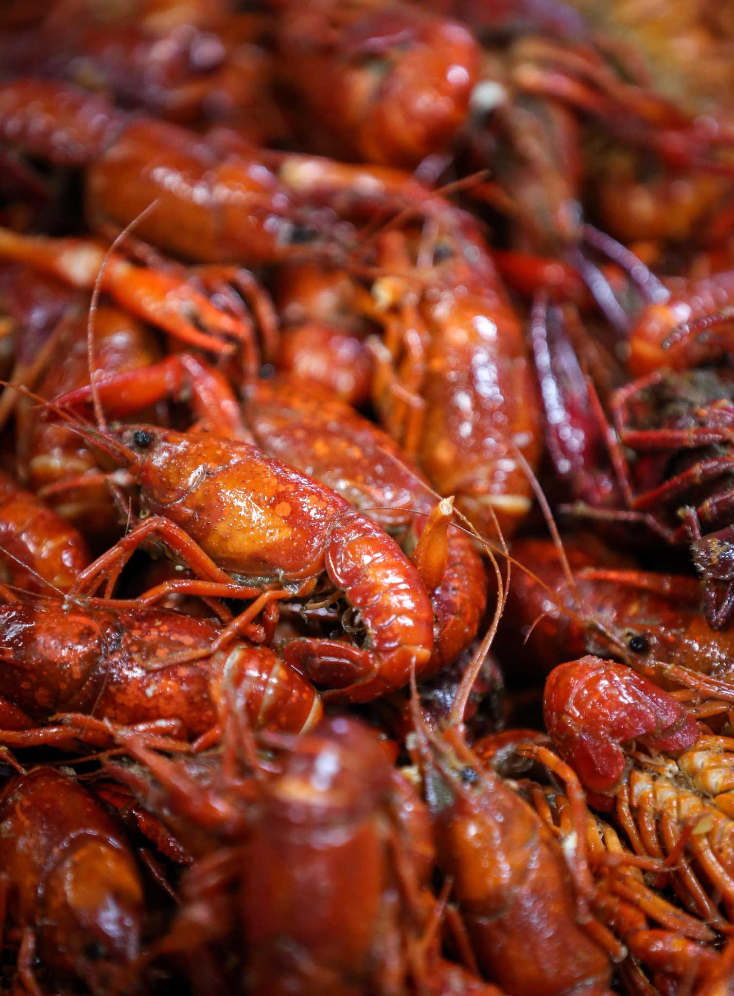April 1-9: Fish fry, crawfish fest coming up in northwest Houston