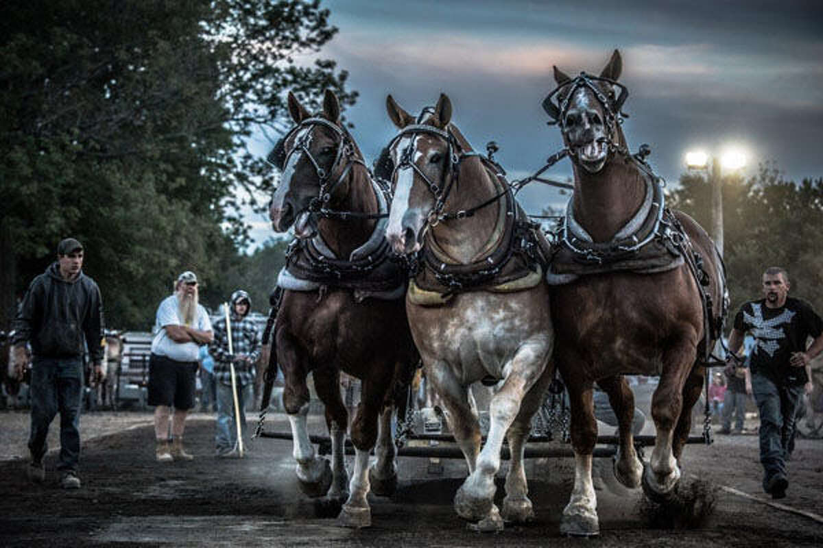 Durham Fair Celebrates 100 Years