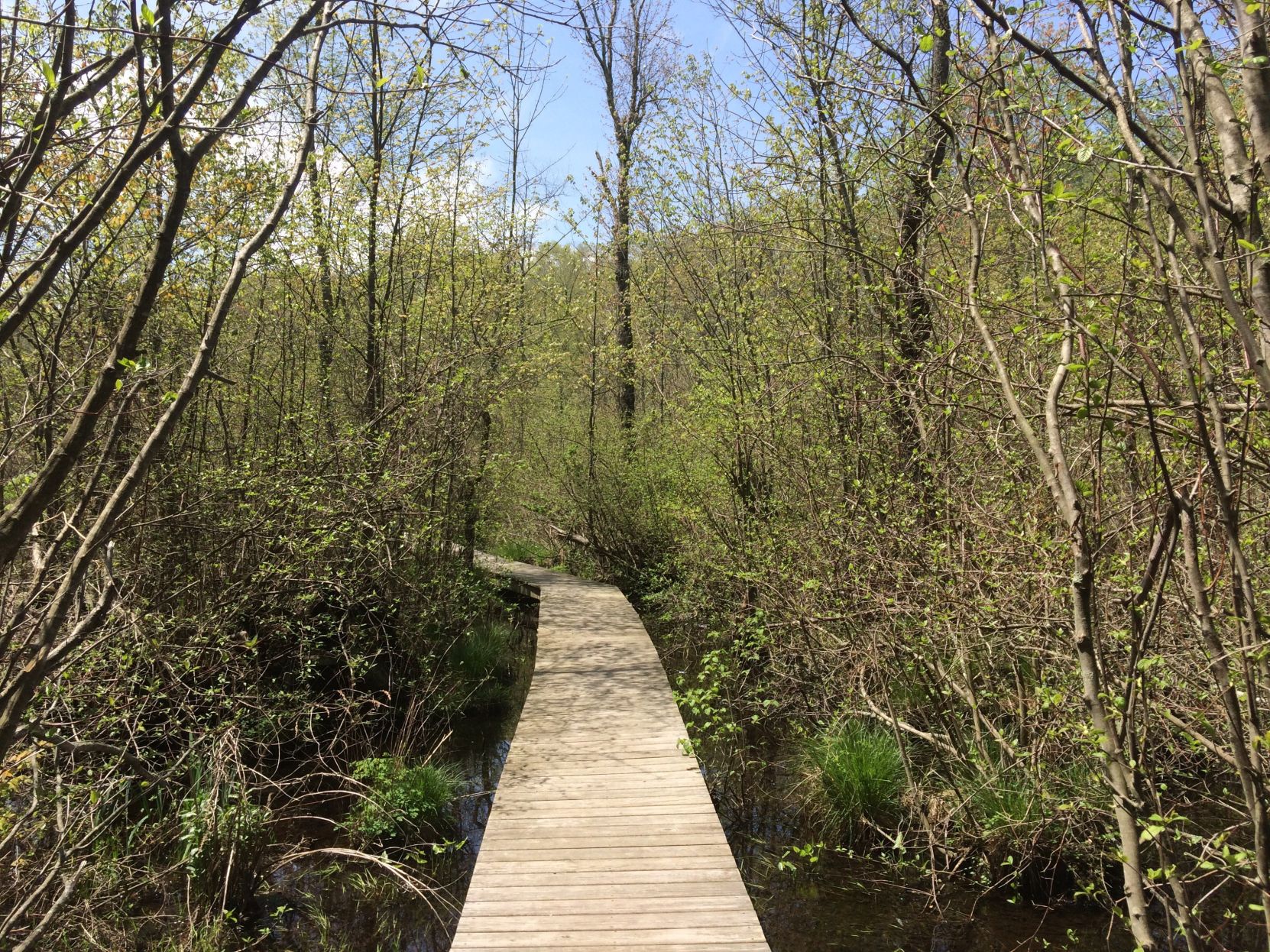 One With Nature: Explore Connecticut's Nature Preserves & Arboretums