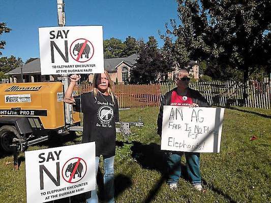 Durham Fair's 'Elephant Encounter' Draws Protesters Saturday