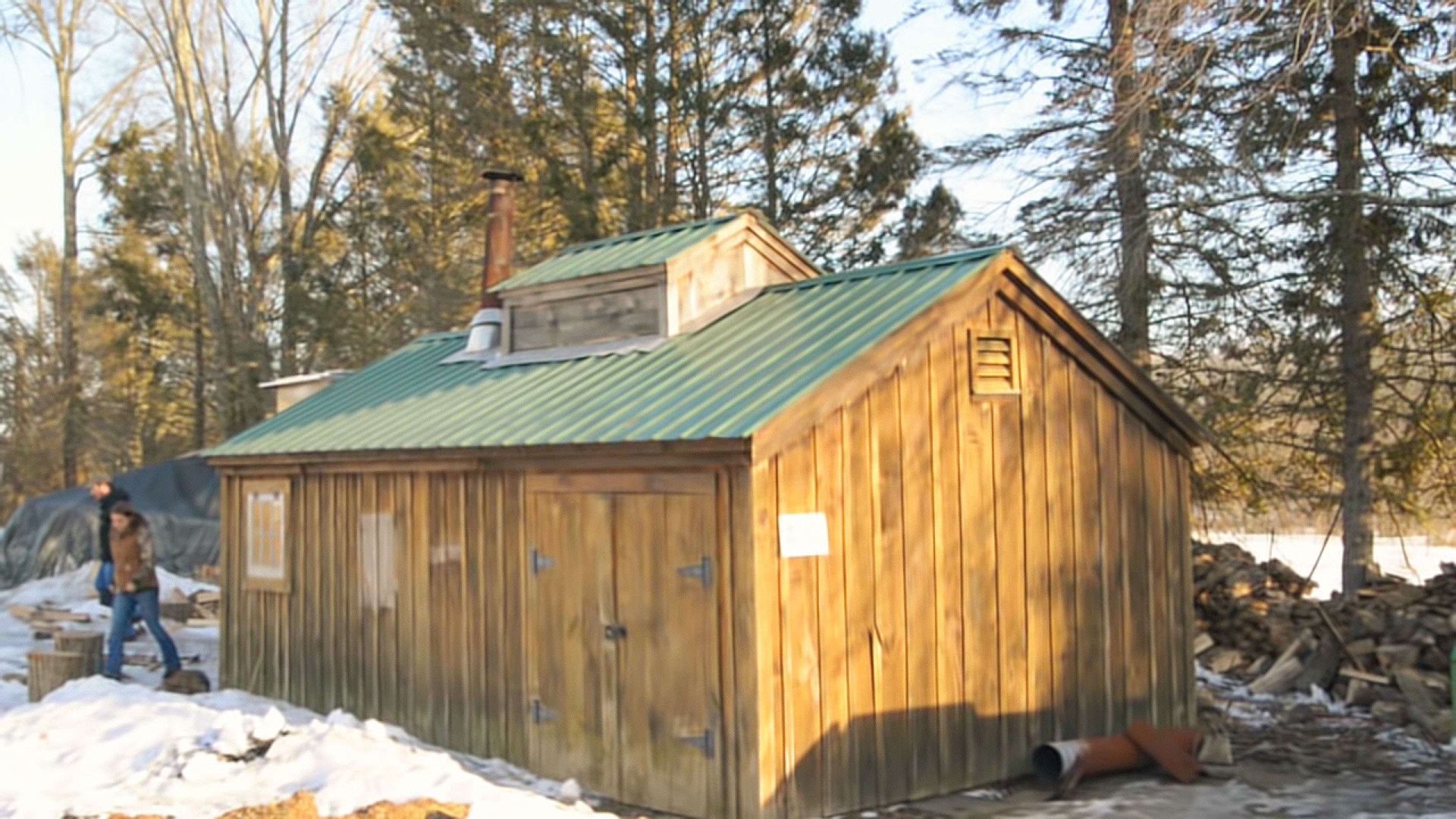 How Sweet It Is: UConn Maple Syrup Shack to Host Open House