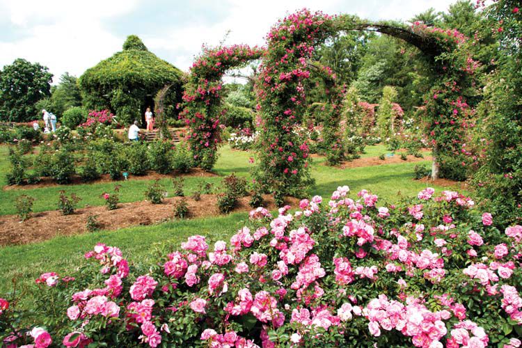 Free For All: The Best 30 Free Things to Do in Connecticut