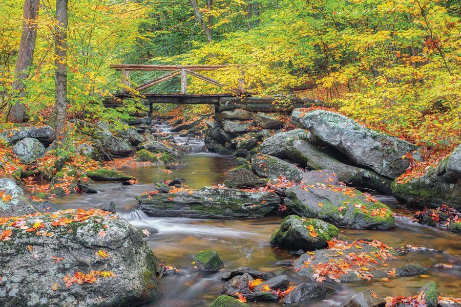 Best Fall Foliage Spots in Connecticut & Beyond
