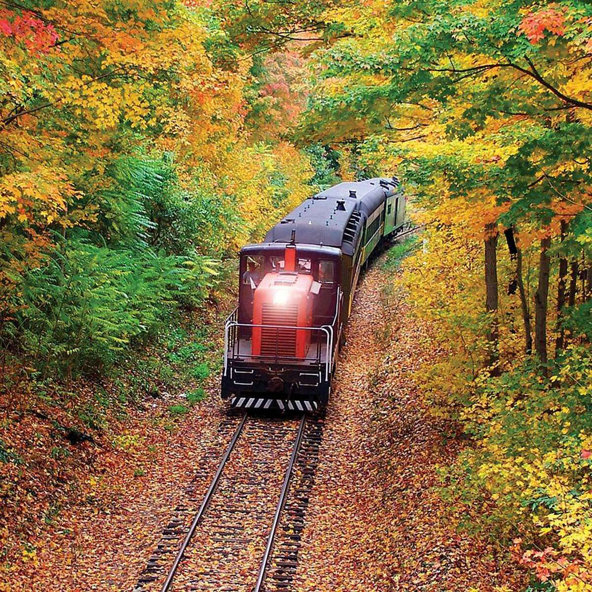 Best Fall Foliage Spots in Connecticut & Beyond