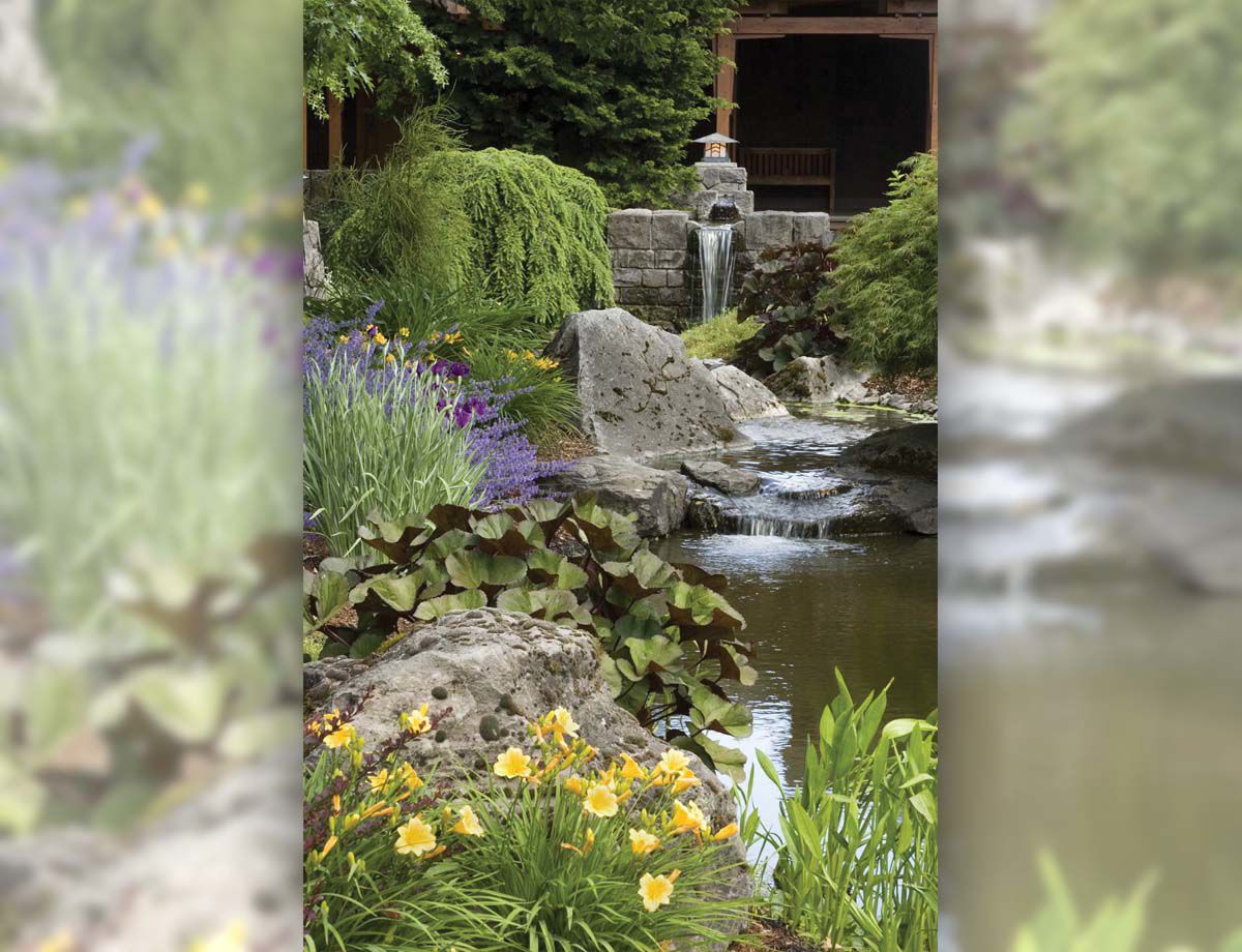 Transform Your Backyard Into a Wonderland of Waterscapes