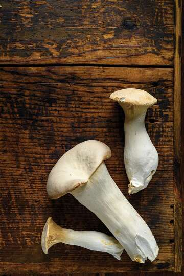 Mystic’s Seacoast Mushrooms Celebrates the Diversity and Flavors of Fungi