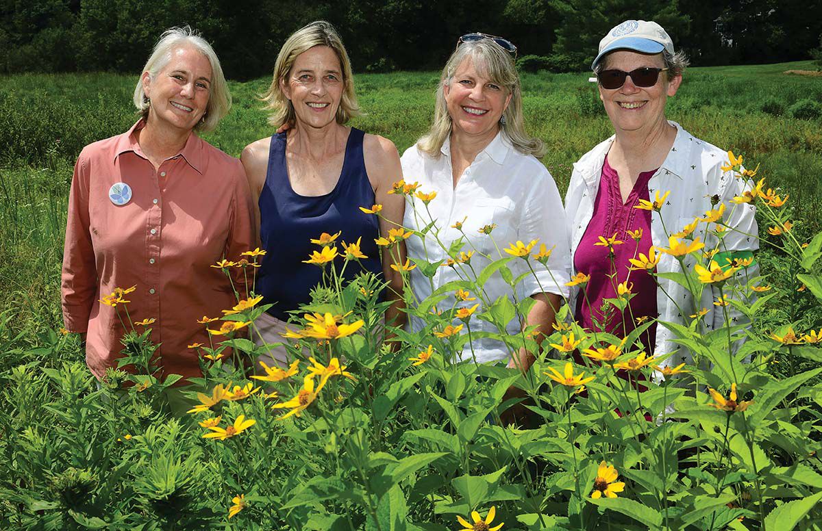 People Across Connecticut are Creating a Pollinator Pathway for Bees ...