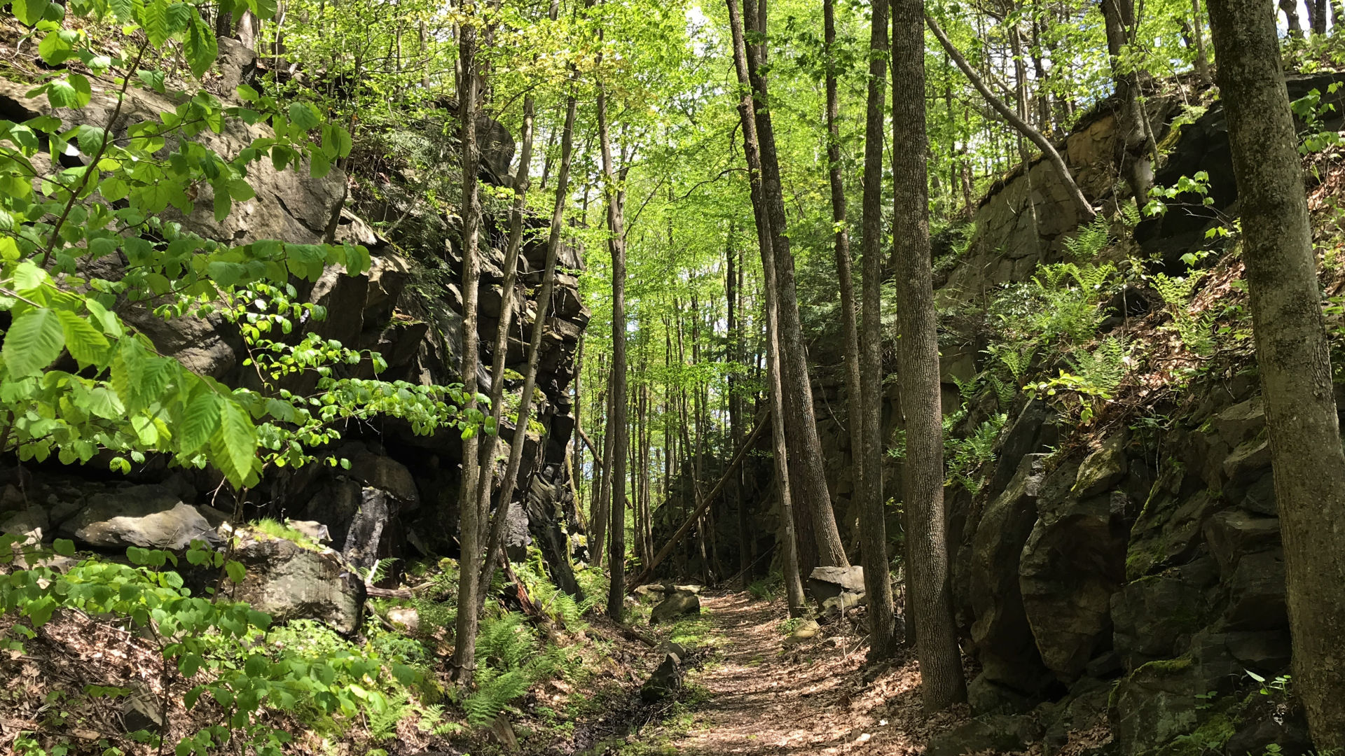 9 secluded CT hiking destinations to avoid crowds