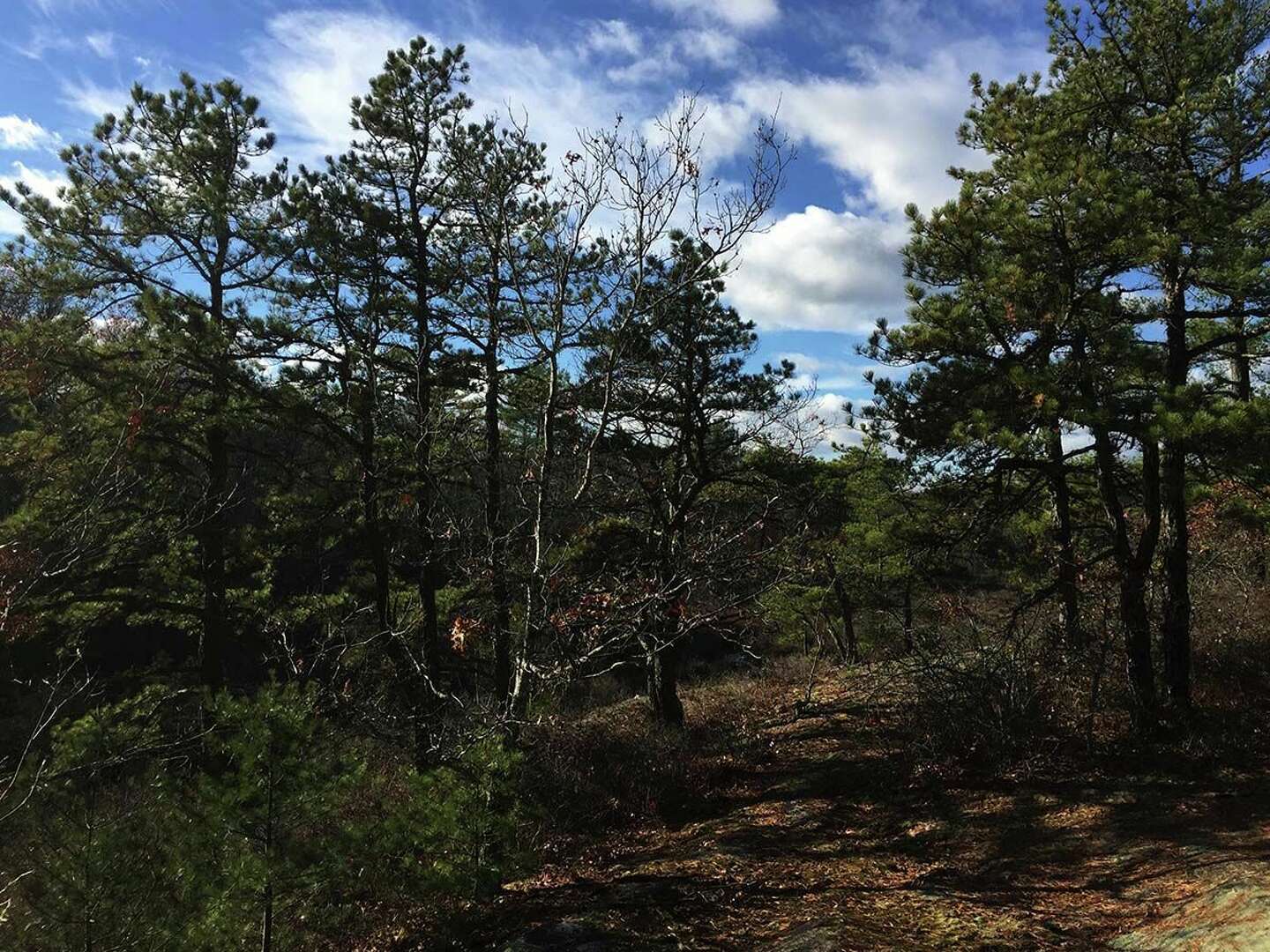 The Dinosaur Caves of eastern CT are an epic journey