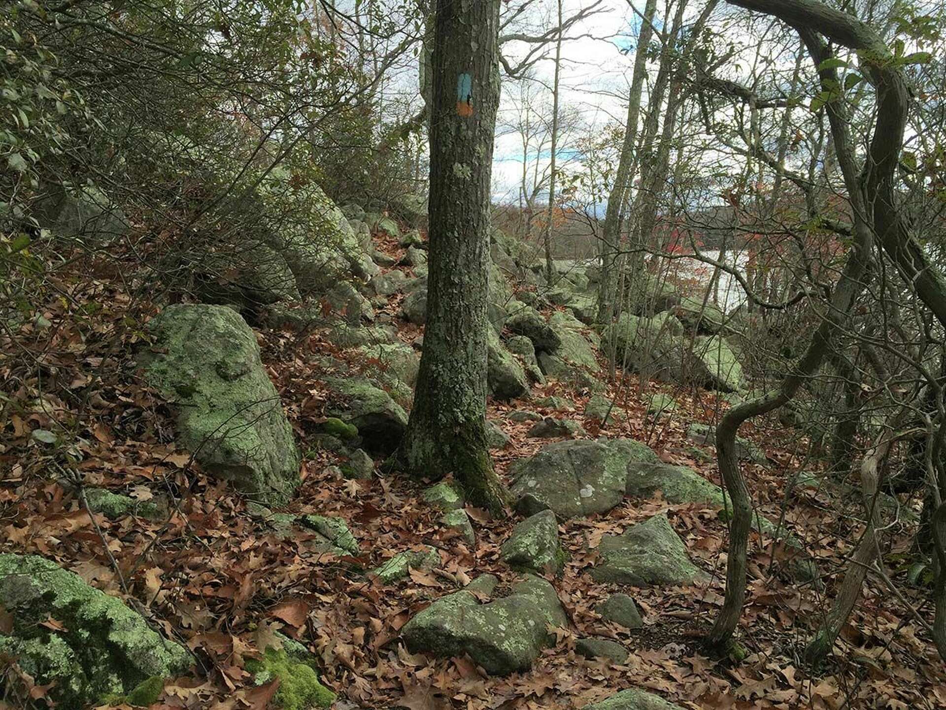 The Dinosaur Caves of eastern CT are an epic journey